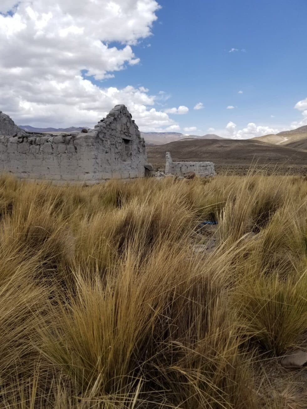 Ichu-arcilla, posible solución al problema de heladas en Perú - IEB ...